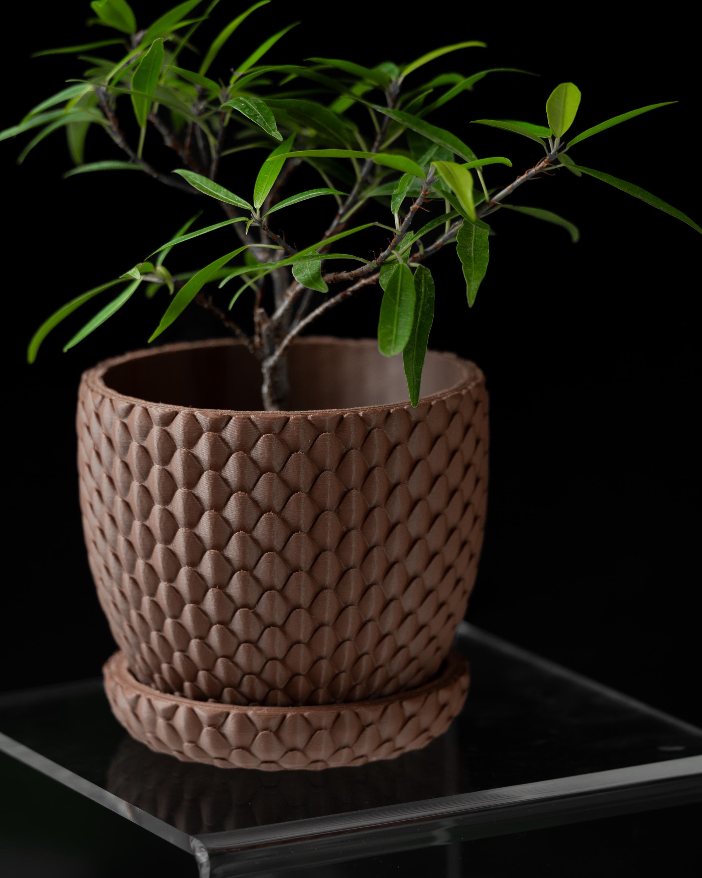Dragonscale Planter Pot 01 STL 3D Print File by MODERN MACHINE - Etsy