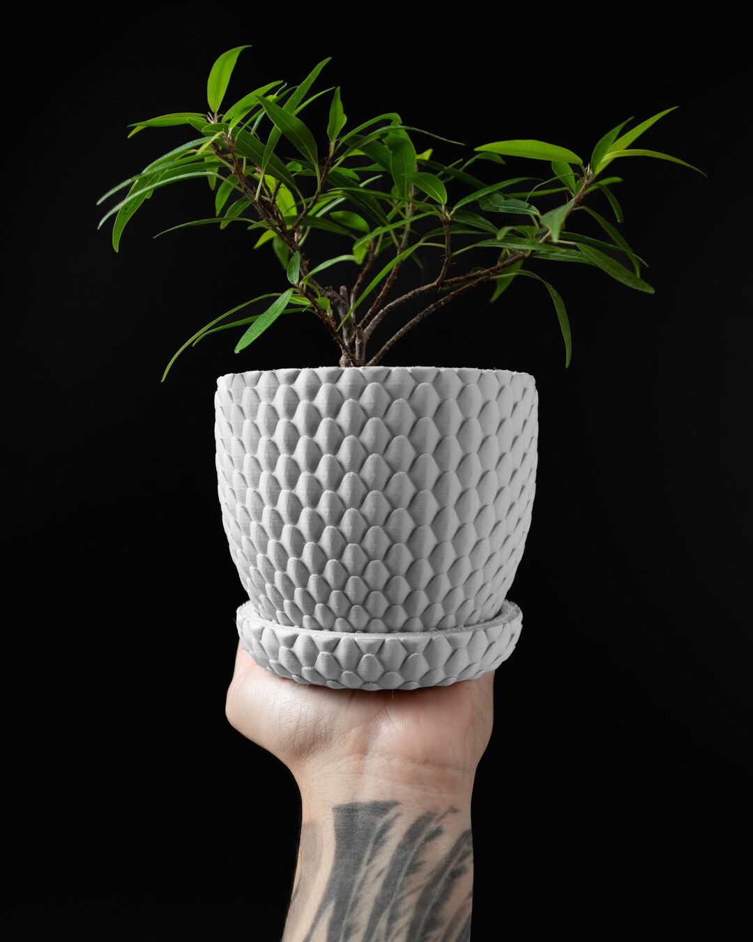 Dragonscale Planter Pot 01 STL 3D Print File by MODERN MACHINE - Etsy