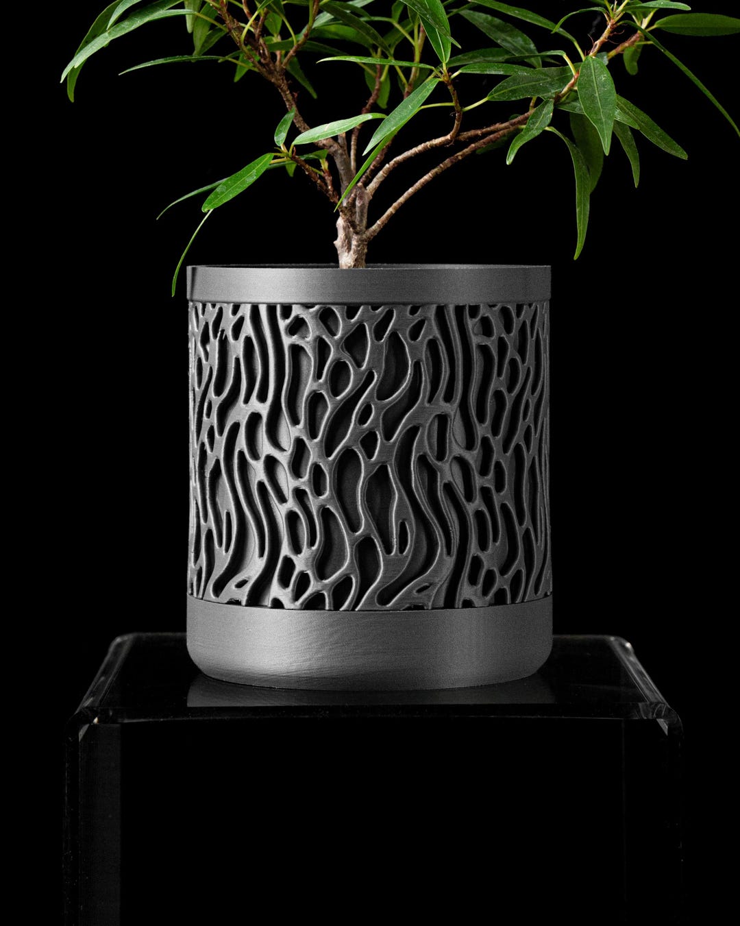 Grove Planter W/wall Attachment STL 3D Print File by MODERN MACHINE - Etsy