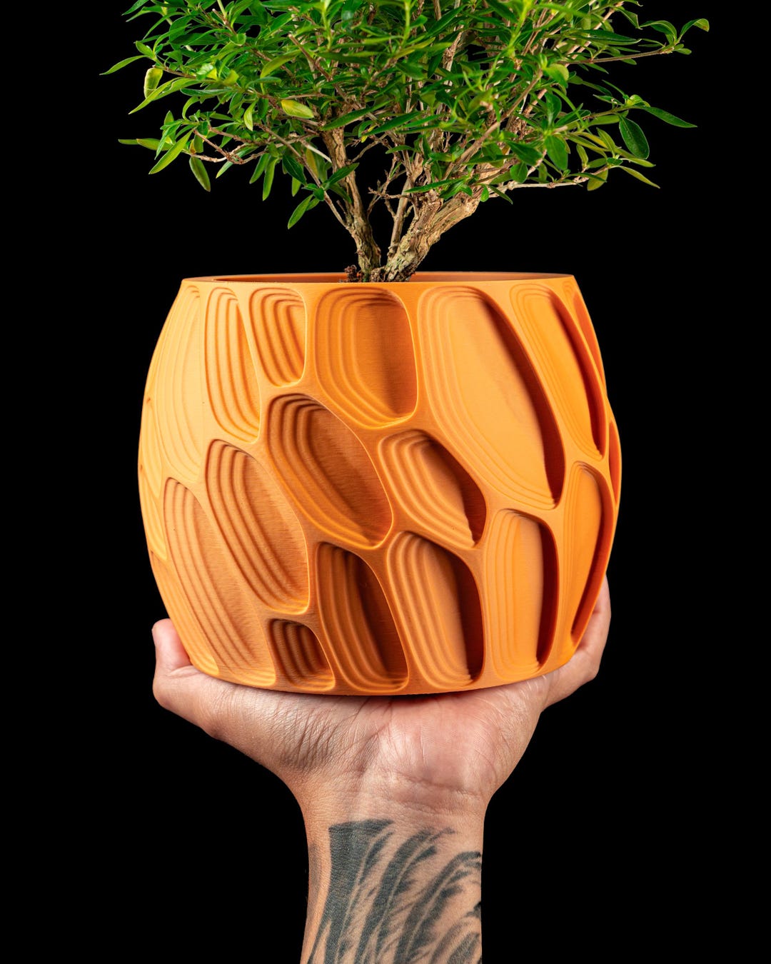 Ringo Planter Pot STL 3D Print File by MODERN MACHINE - Etsy UK