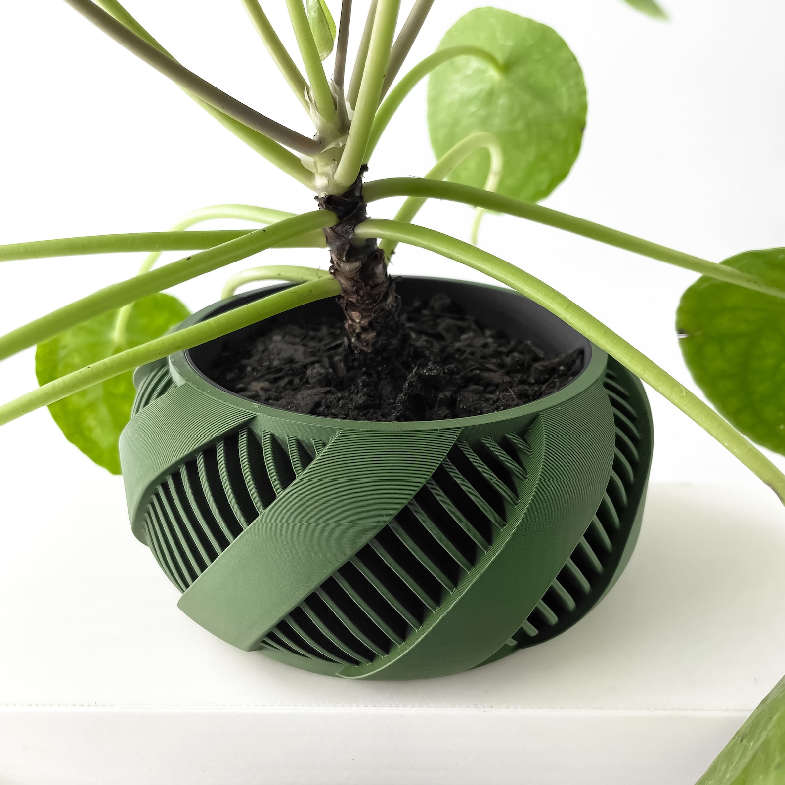 The Brimo Planter Pot STL 3D Print File, Digital Download for 3D Printing, Home Decor Planter ...