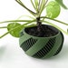 The Brimo Planter Pot STL 3D Print File, Digital Download for 3D Printing, Home Decor Planter ...
