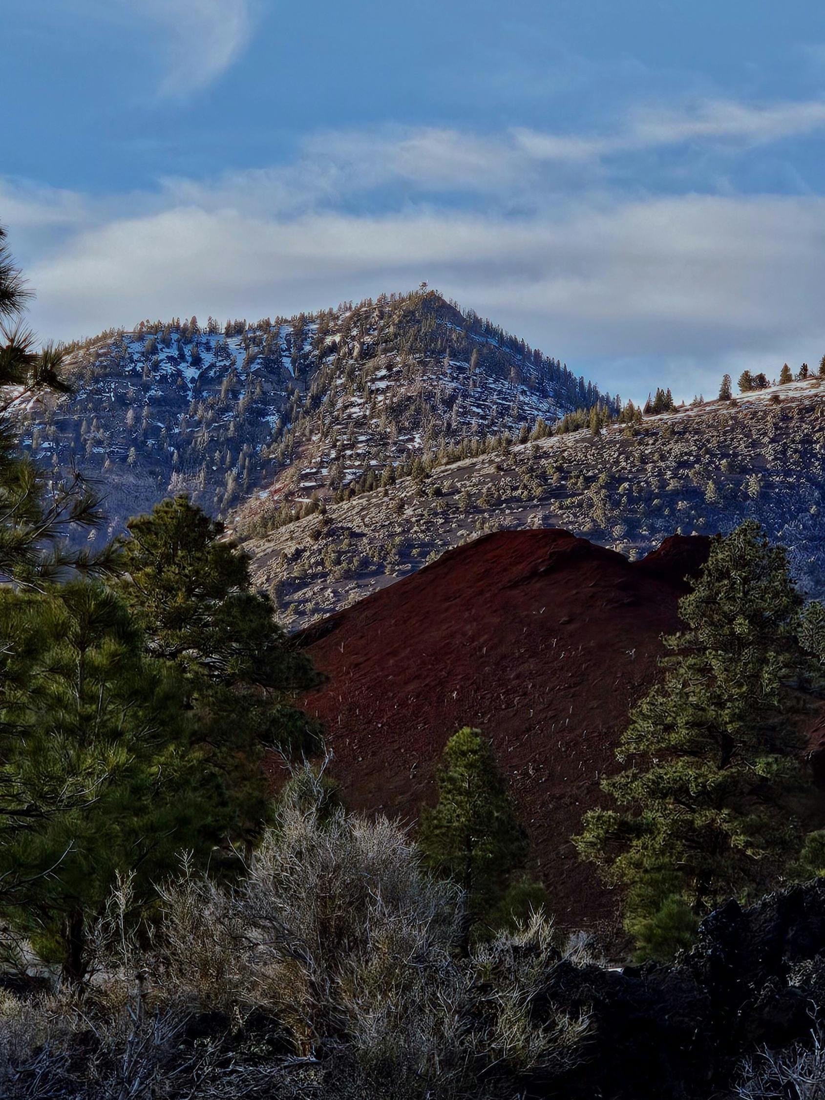 Coconino National Forest Sticker - Etsy