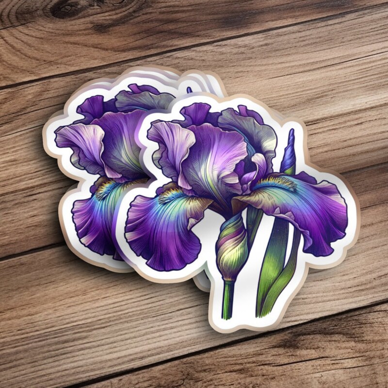 Water Iris - Etsy