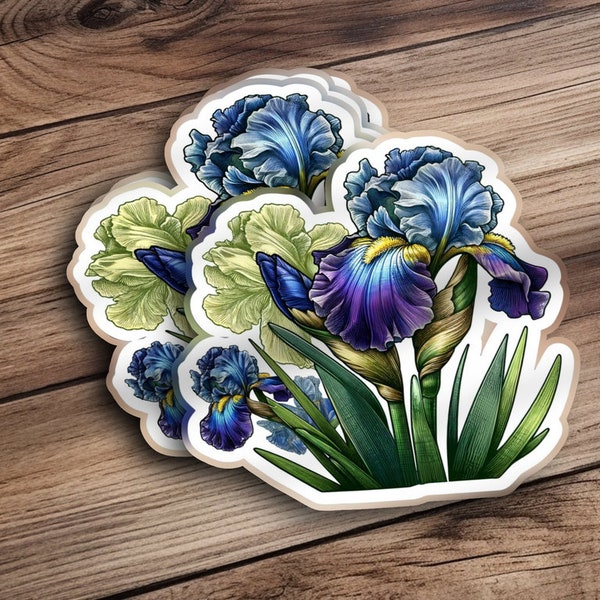 Water Iris - Etsy