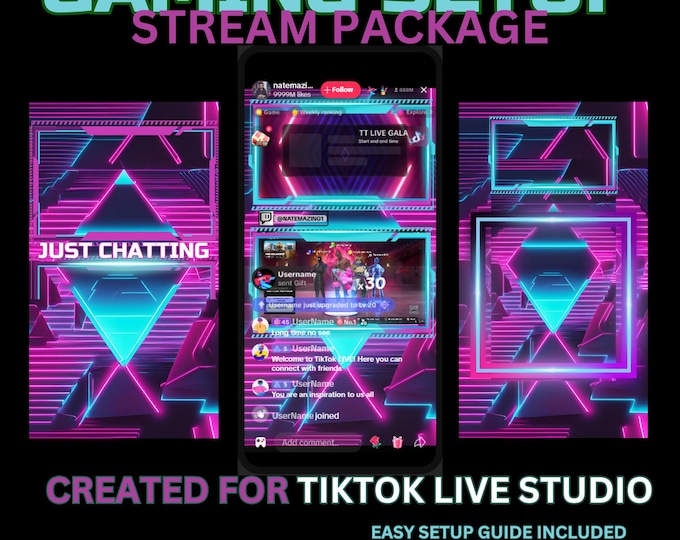 Retro Pink + Cyan Animated Tiktok Live Overlay Kit: Neon Synthwave ...