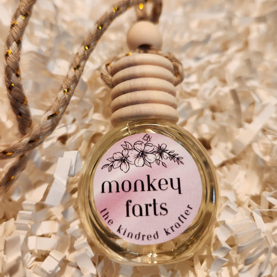 Car Air Freshener Hanging Car Diffuser Gifts for Valentines Day Birthday Fragrances Diffuser Car ...