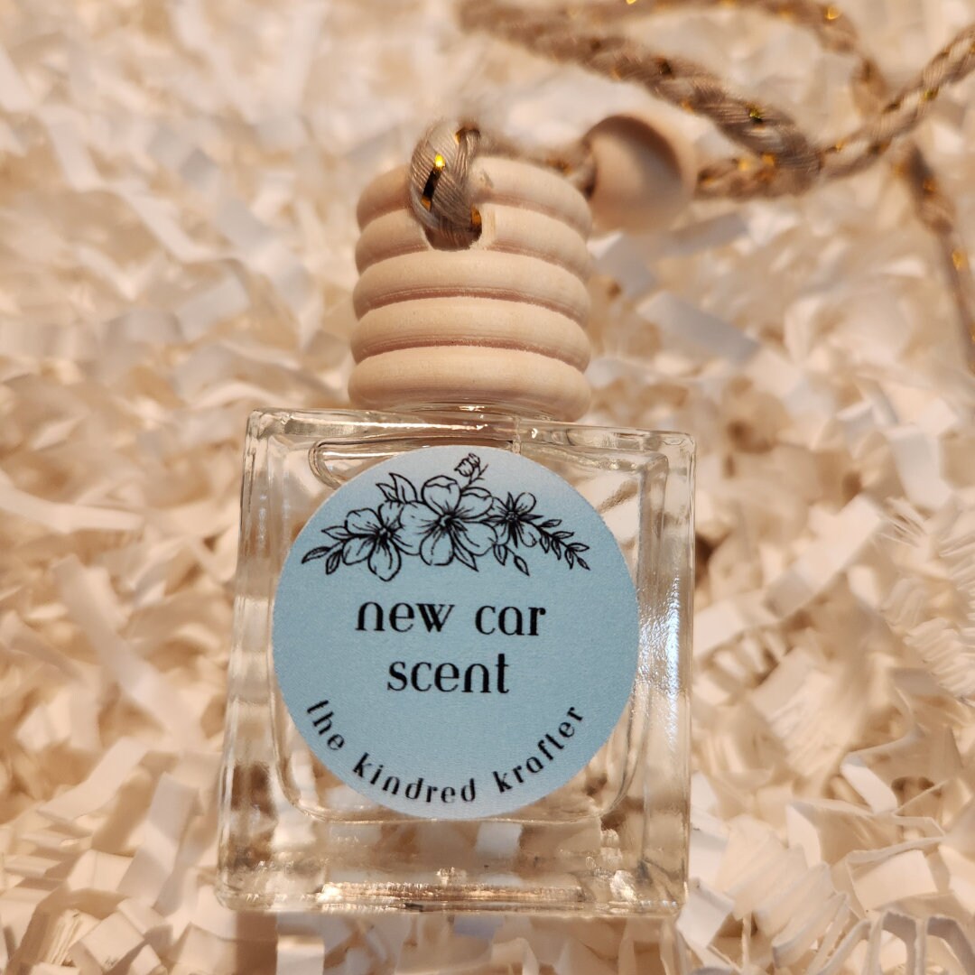 Car Air Freshener Hanging Car Diffuser Gifts for Birthday Anniversary Girlfriend Gifts Hanging ...