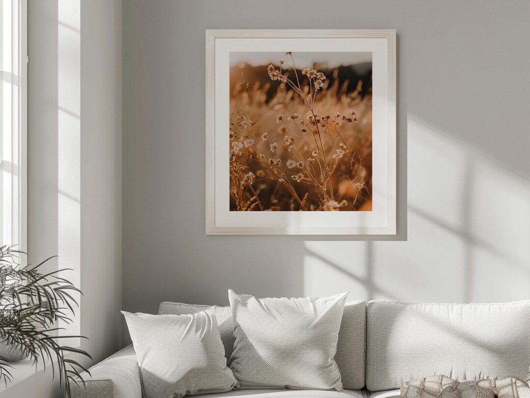 Golden Yarrow Wildflowers at Sunset. Landscape Photography, Nature in ...