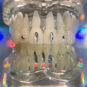 Vamp Fang DIY Tooth Gem Kit | Swarovski Gems | Assorted Flatback Tooth ...