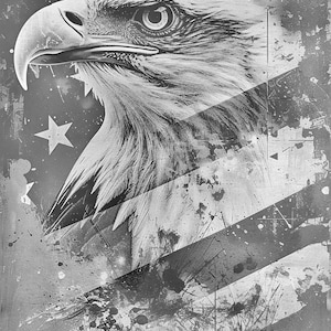 Xtool S1 Ready File, 3D Design, Digital File, Bald Eagle, American Flag ...