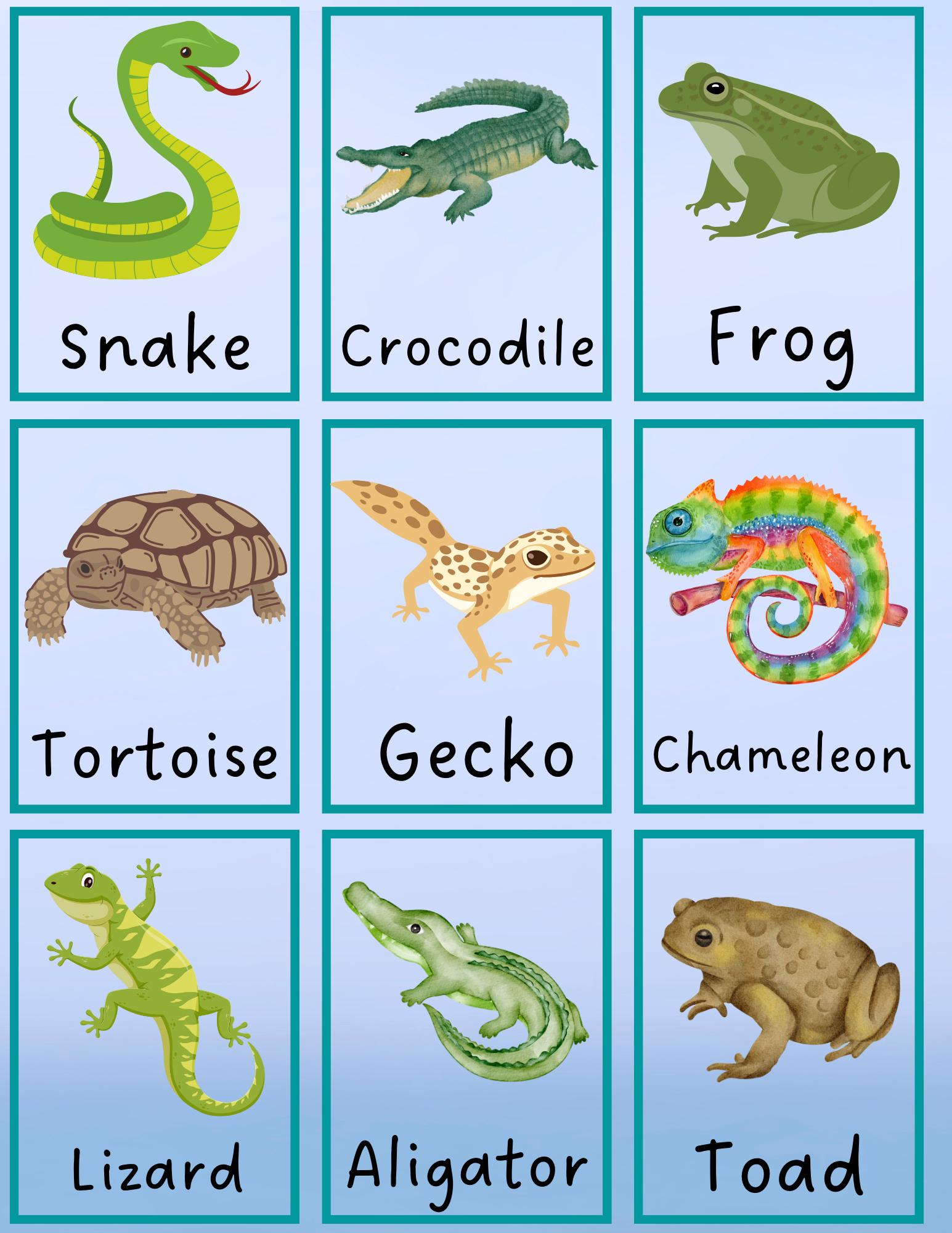 Animal Flashcards for Kids - Printable Educational Flashcards - 7 Pages ...