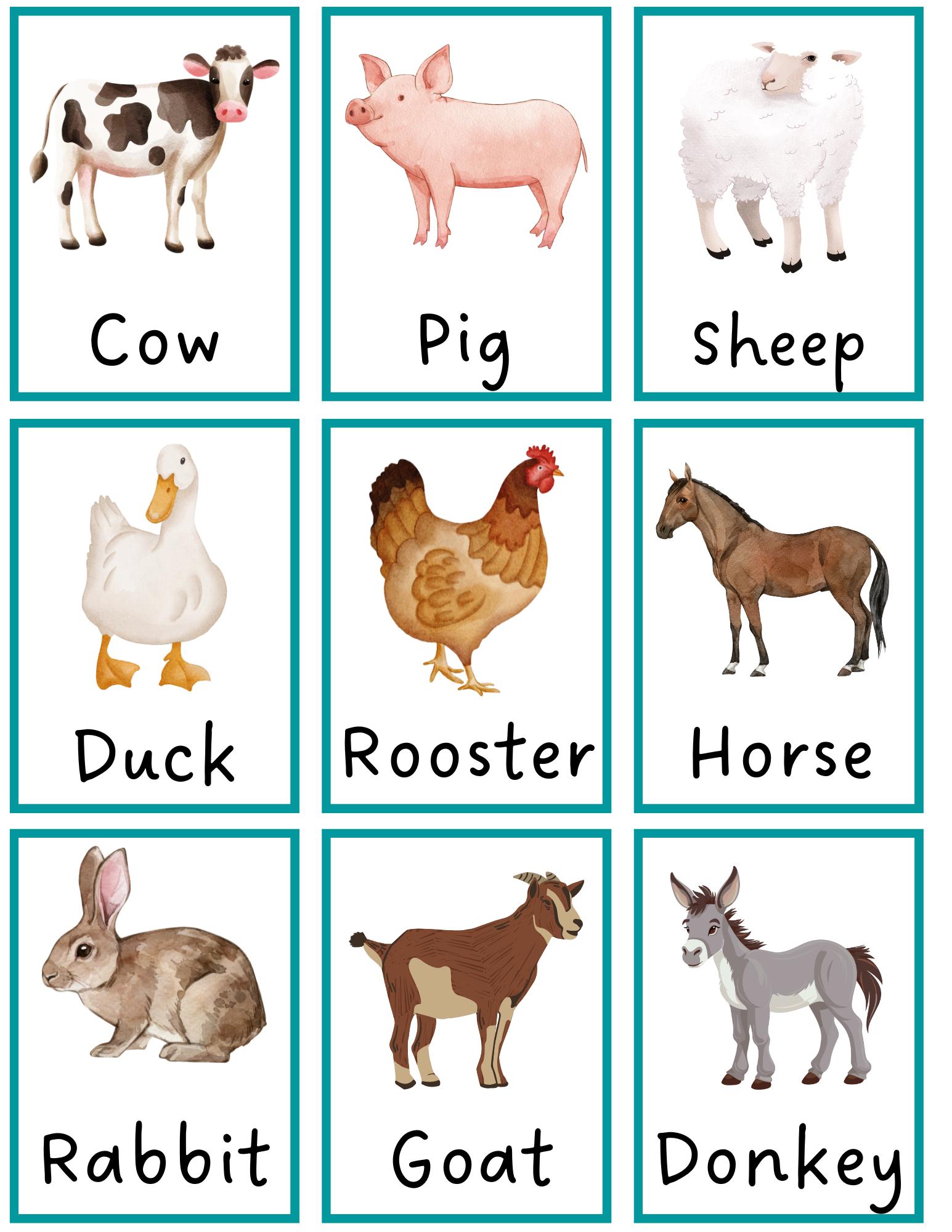 Animal Flashcards for Kids - Printable Educational Flashcards - 7 Pages ...