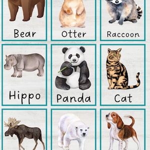 Animal Flashcards for Kids - Printable Educational Flashcards - 7 Pages ...