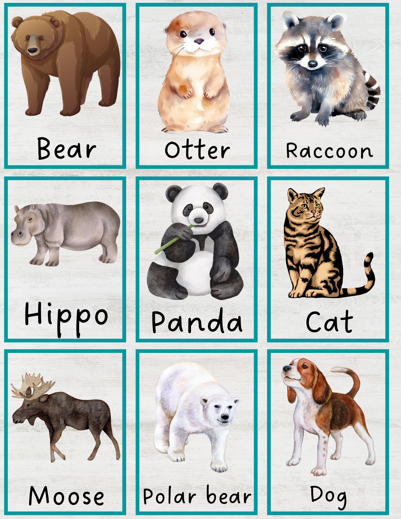 Animal Flashcards for Kids - Printable Educational Flashcards - 7 Pages ...