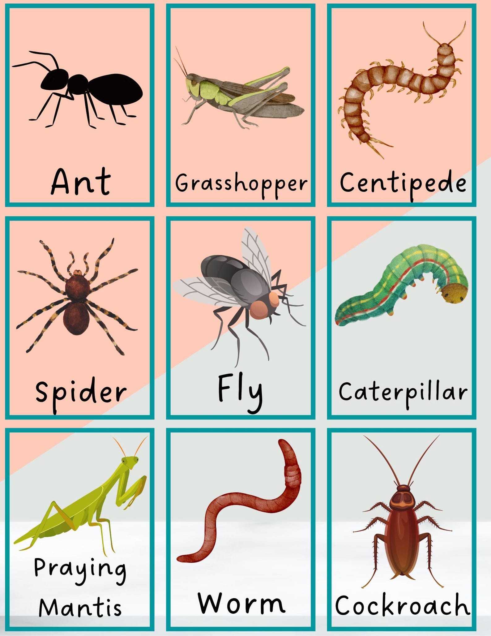 Animal Flashcards for Kids - Printable Educational Flashcards - 7 Pages ...
