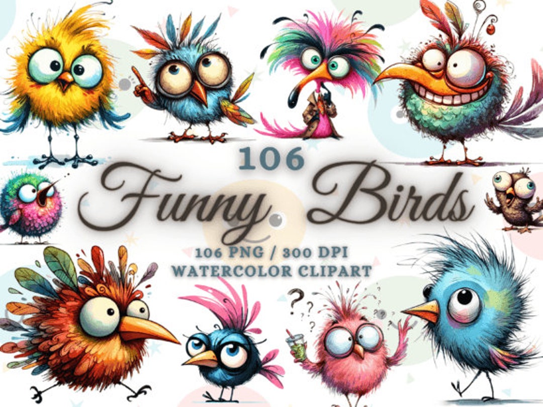 Lustiger Vogel Clipart Bundle Lustige Vogel Png Grafik - Etsy.de