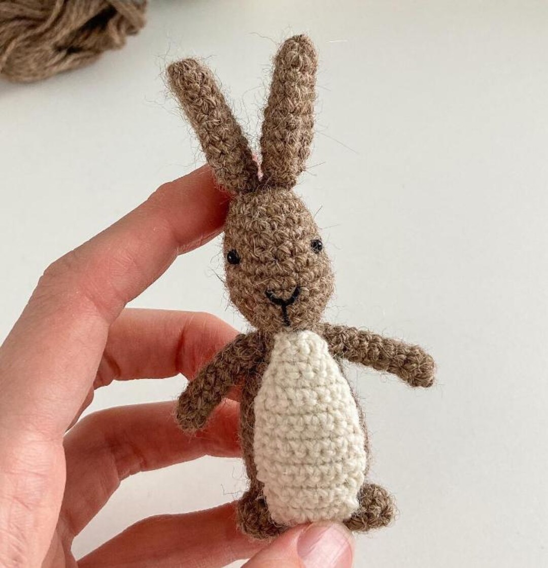 Peter Rabbit Amigurumi Crochet Pattern Easy DIY Plushie Tutorial - Etsy