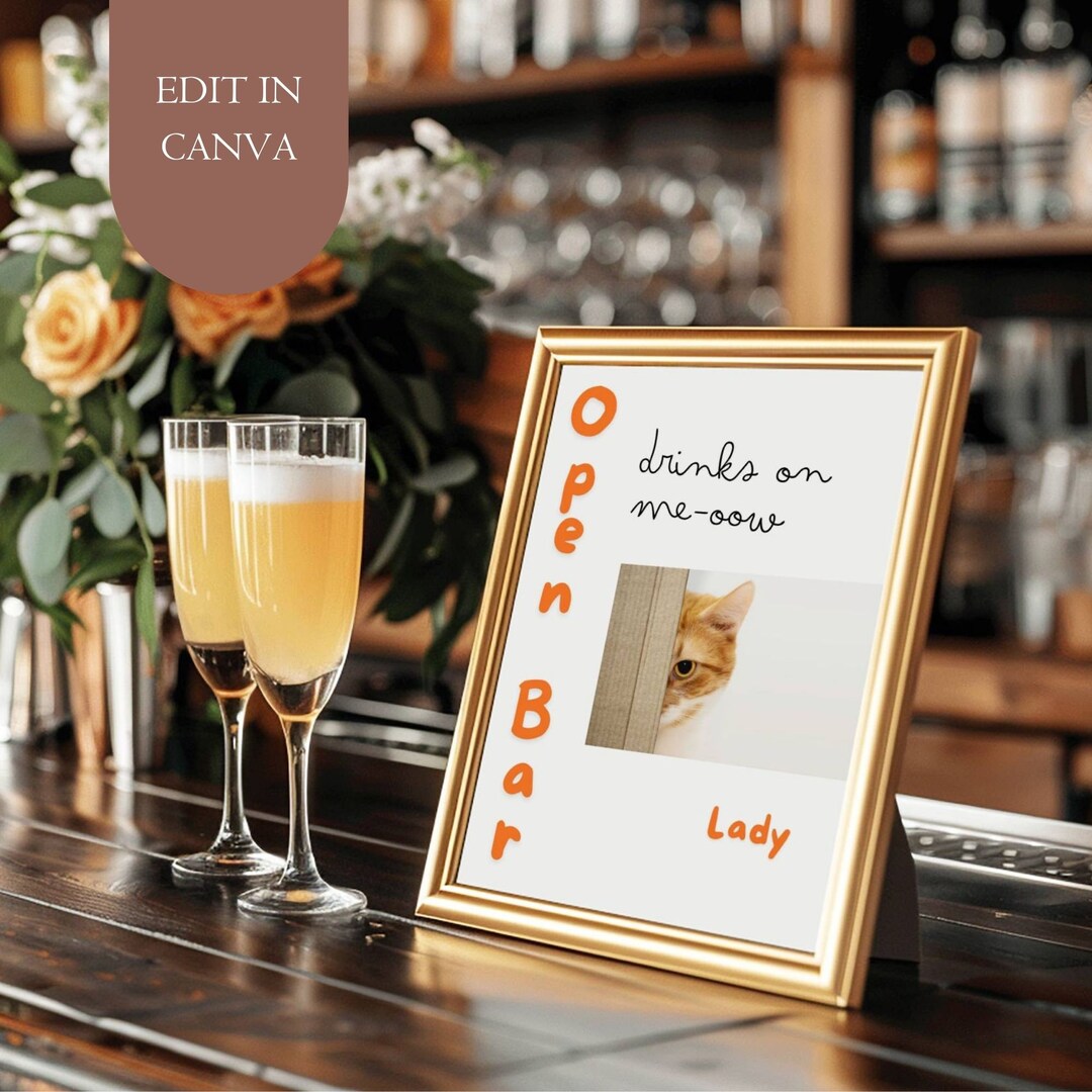 Funny Cat Drinks on Me -oow Bar Sign, Open Bar Sign, Modern Minimalist ...