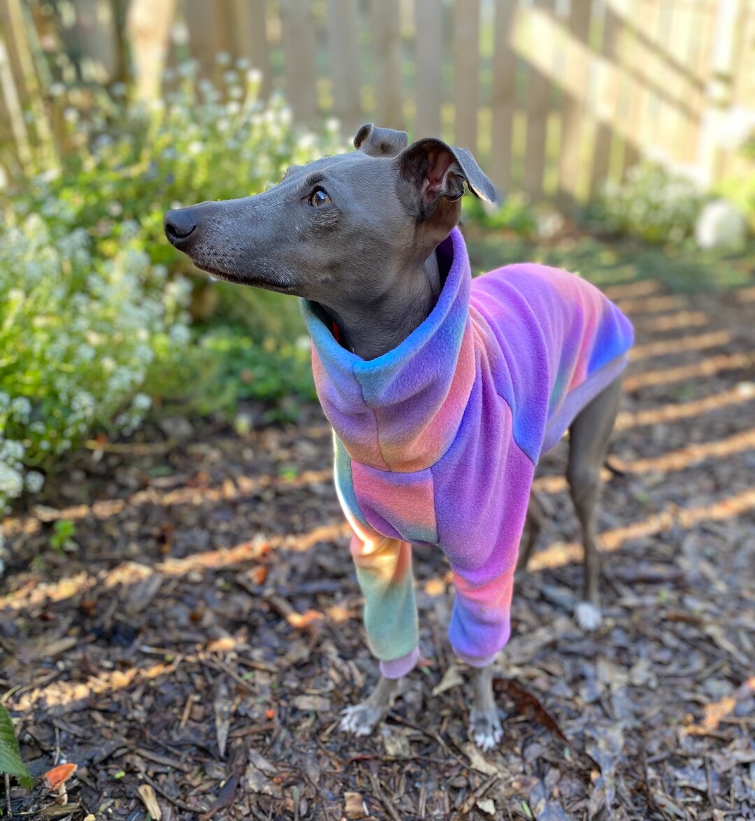 Italian Greyhound - Rainbow Polar Fleece (choice of Lilac or Sage Green ...