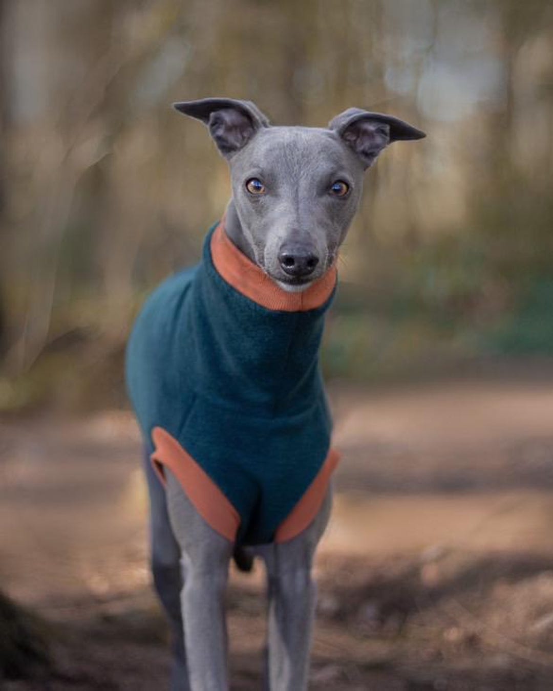 Whippet - Forest Polar Fleece Sleeveless Vest - Etsy