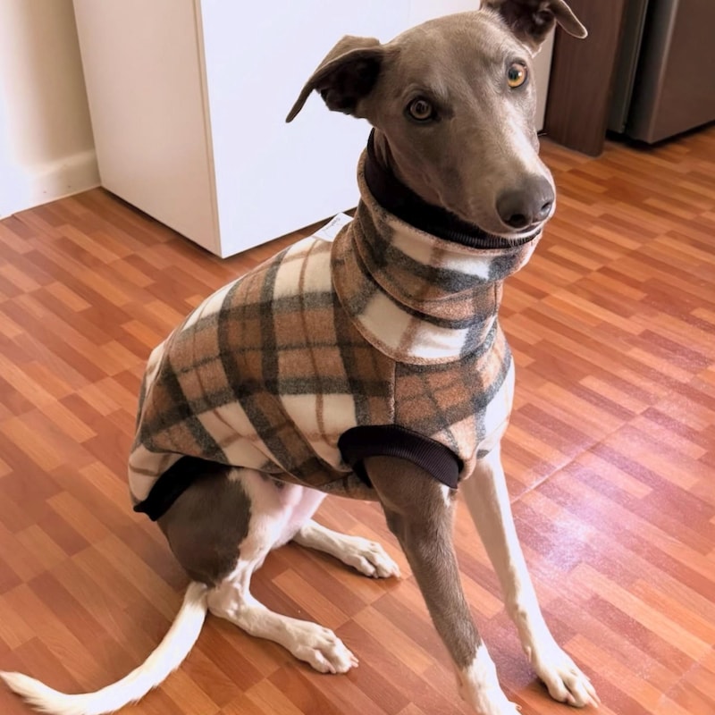 Whippet Clothing - Etsy