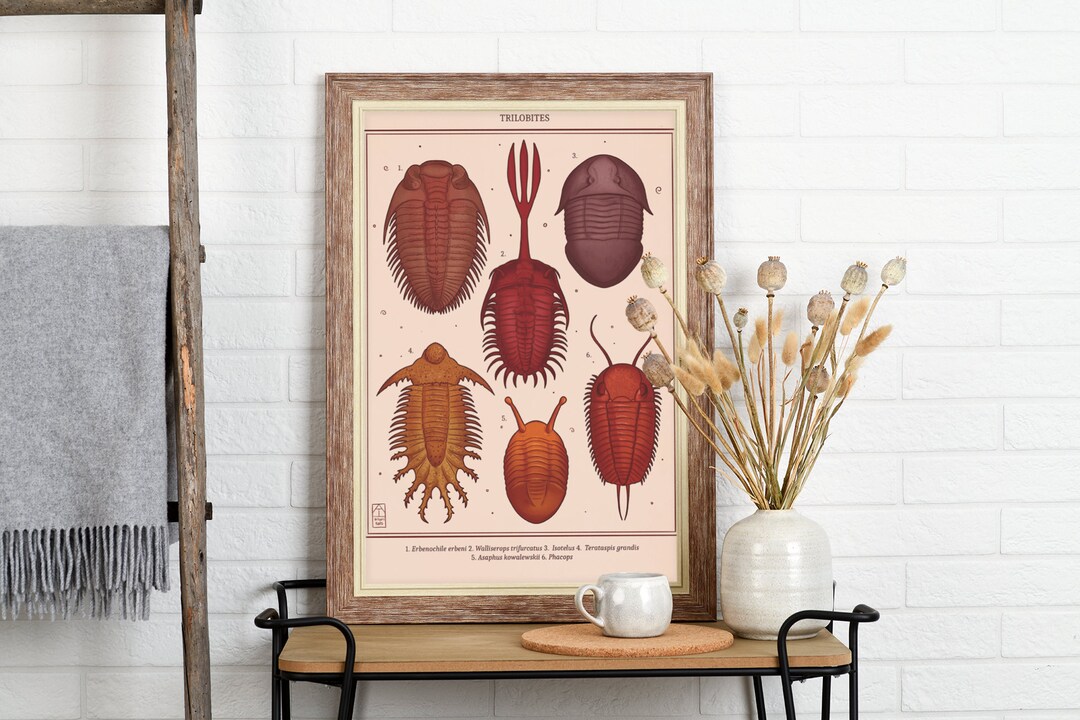 Trilobites Art Print Cambrian Wall Art Nature Art Poster Original ...