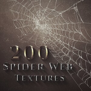200 4k Spider Web Textures Overlay,photoshop PNG Template for Photoshop ...