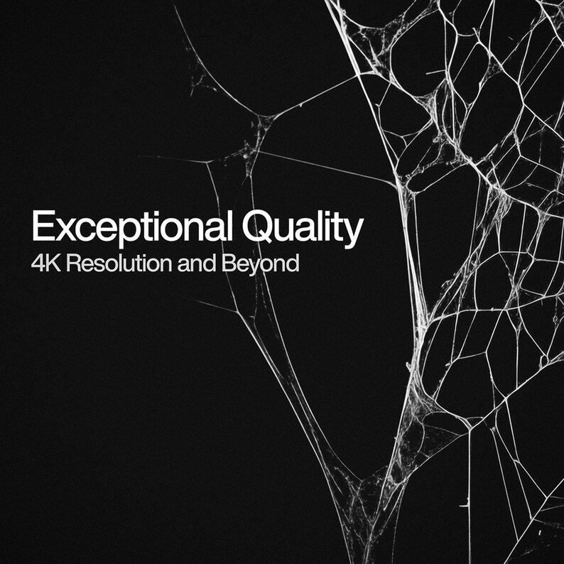 200 4k Spider Web Textures Overlay,photoshop PNG Template for Photoshop ...