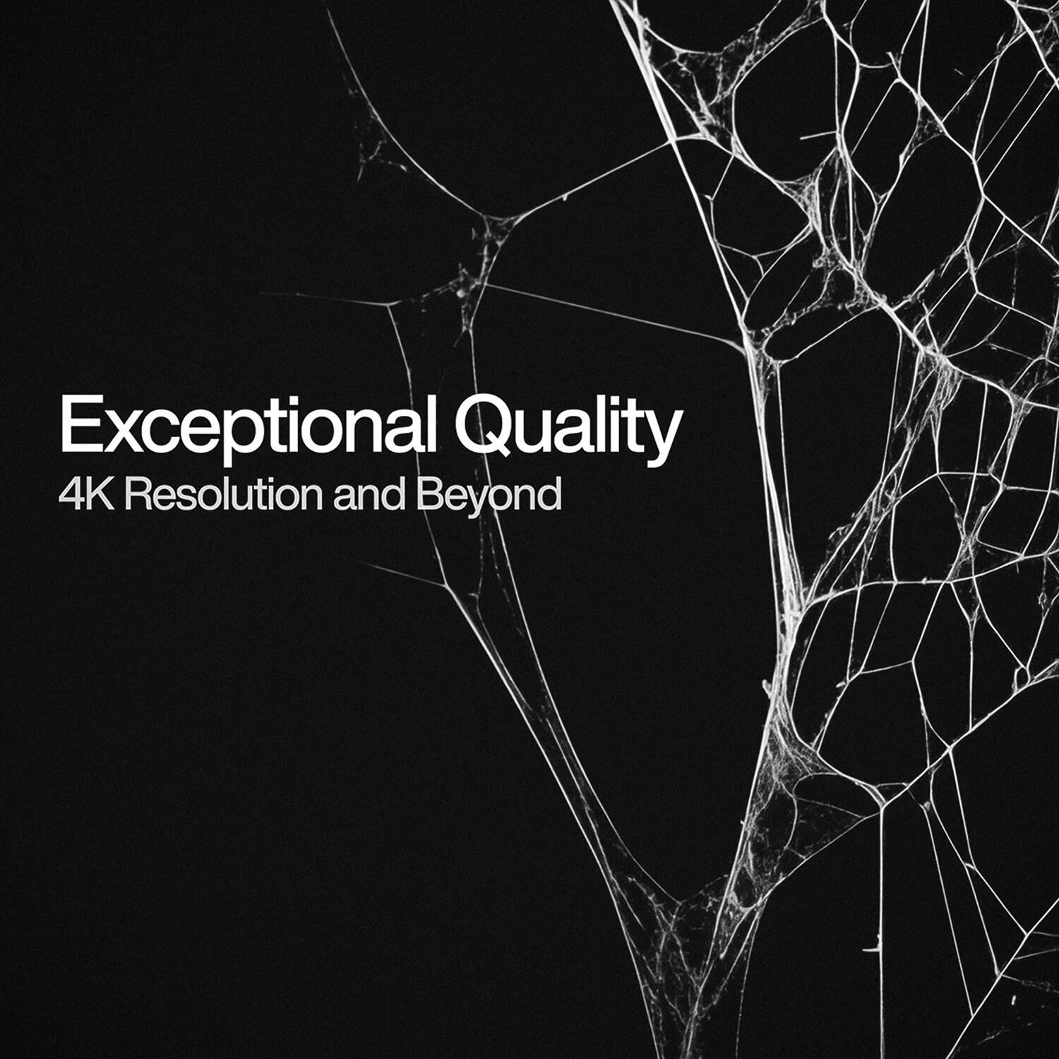 200 4k Spider Web Textures Overlay,photoshop PNG Template for Photoshop ...