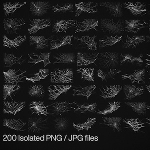 200 4k Spider Web Textures Overlay,photoshop PNG Template for Photoshop ...