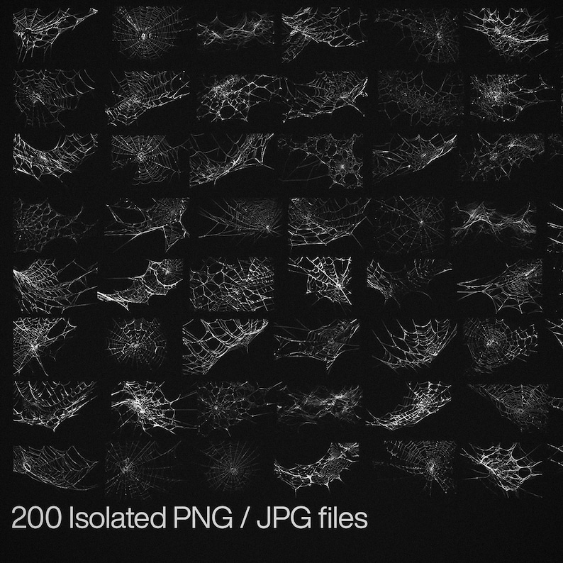 200 4k Spider Web Textures Overlay,photoshop PNG Template for Photoshop ...