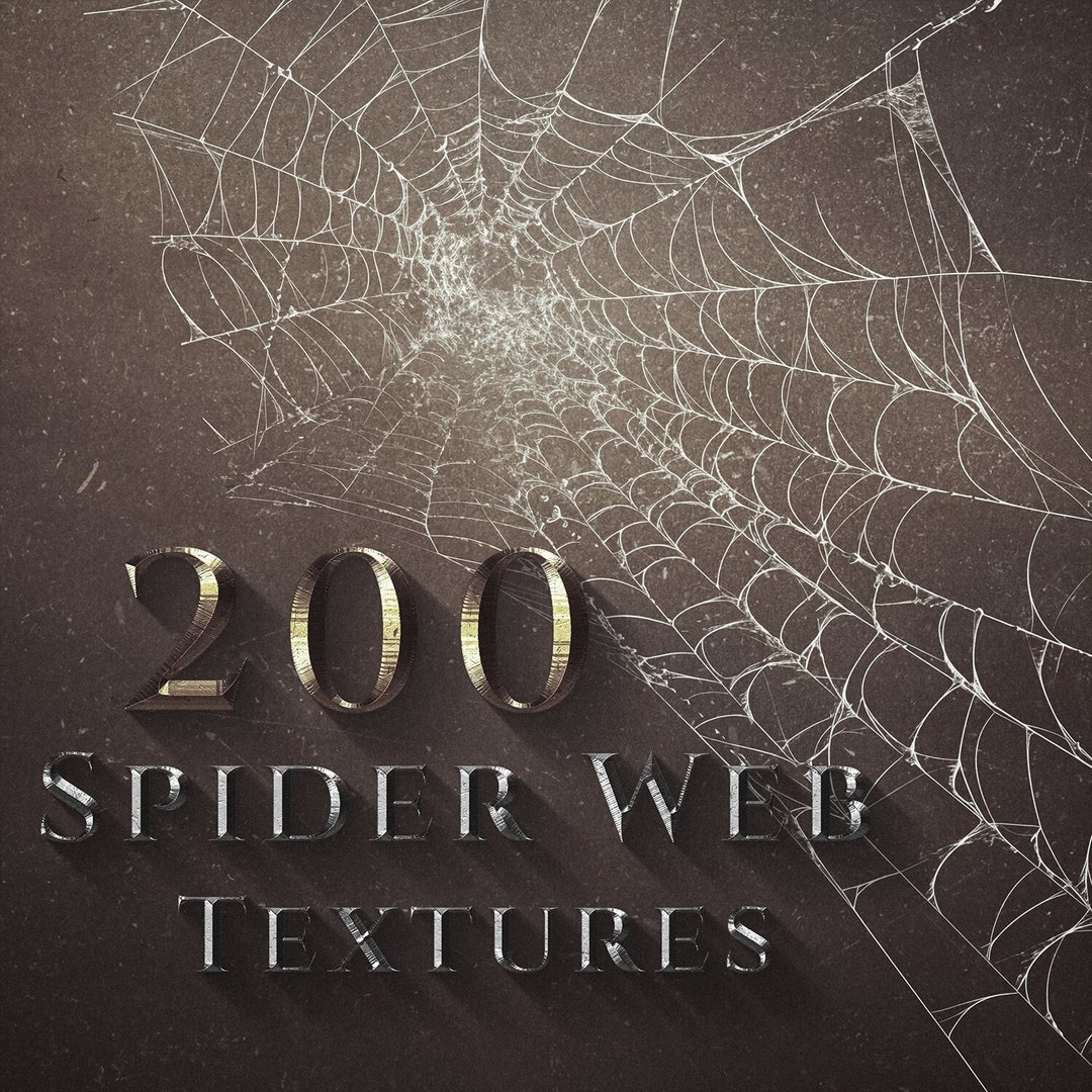 200 4k Spider Web Textures Overlay,photoshop PNG Template for Photoshop ...