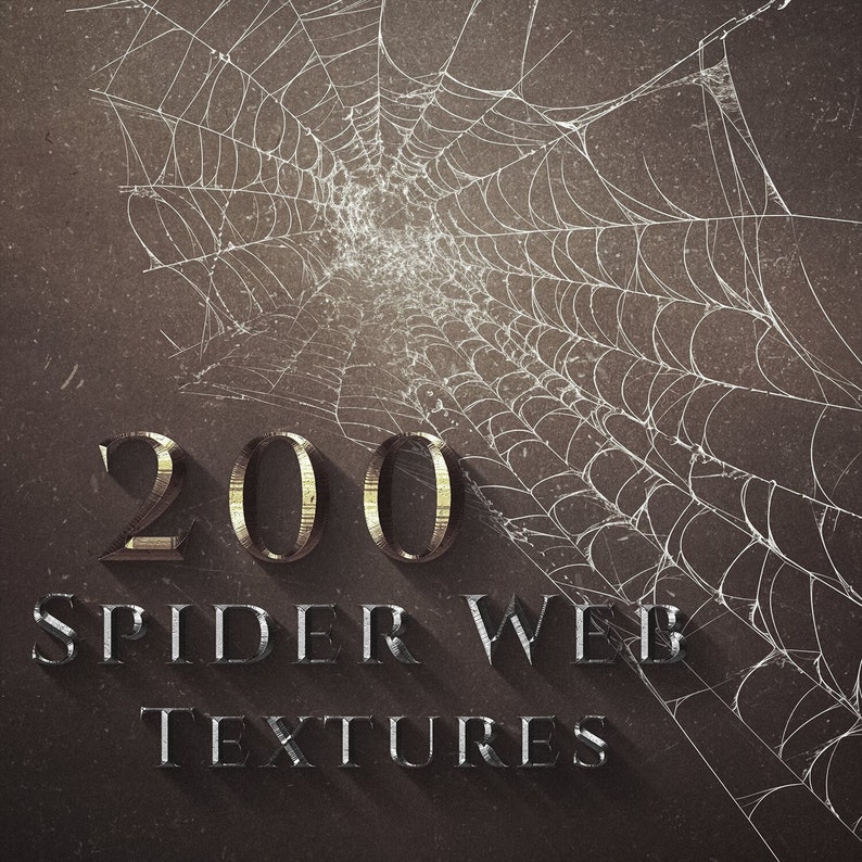 200 4k Spider Web Textures Overlay,photoshop PNG Template for Photoshop ...