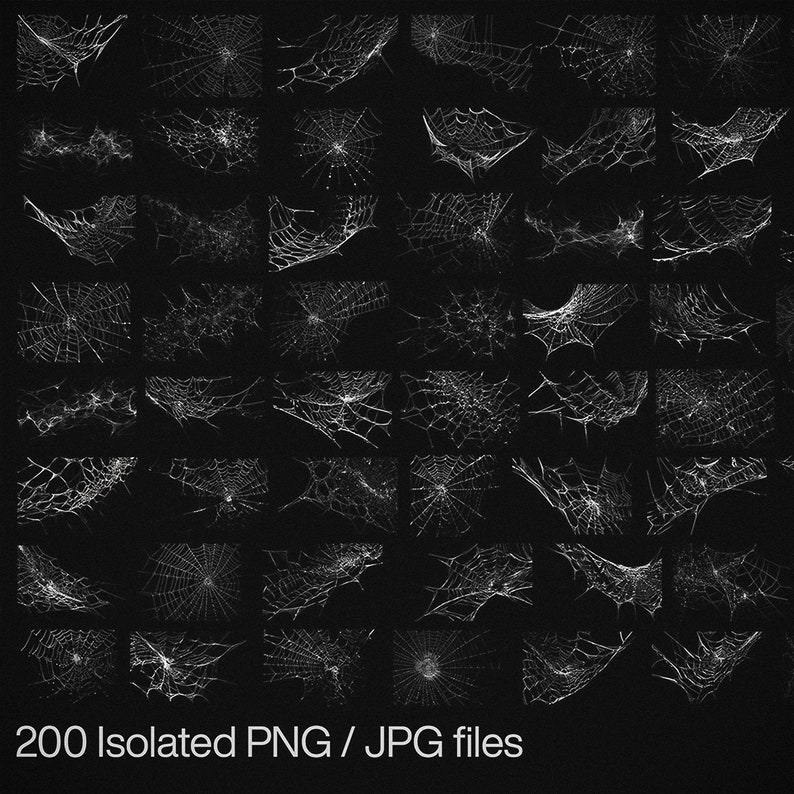 200 4k Spider Web Textures Overlay,photoshop PNG Template for Photoshop ...