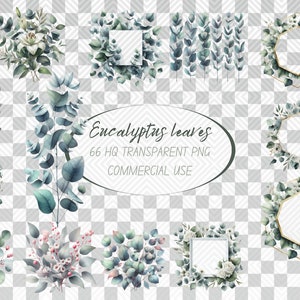 Watercolor Eucalyptus Leaves Clipart: Greenery PNG Bundle (digital ...