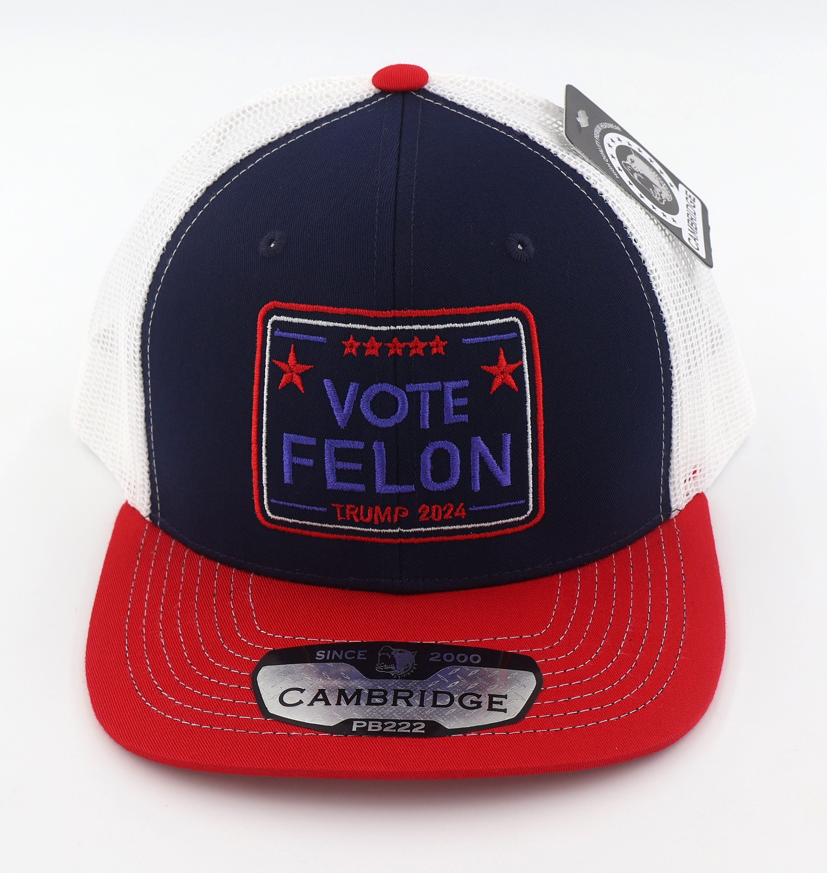 Vote Felon 2024 Hat eembroidery - Etsy
