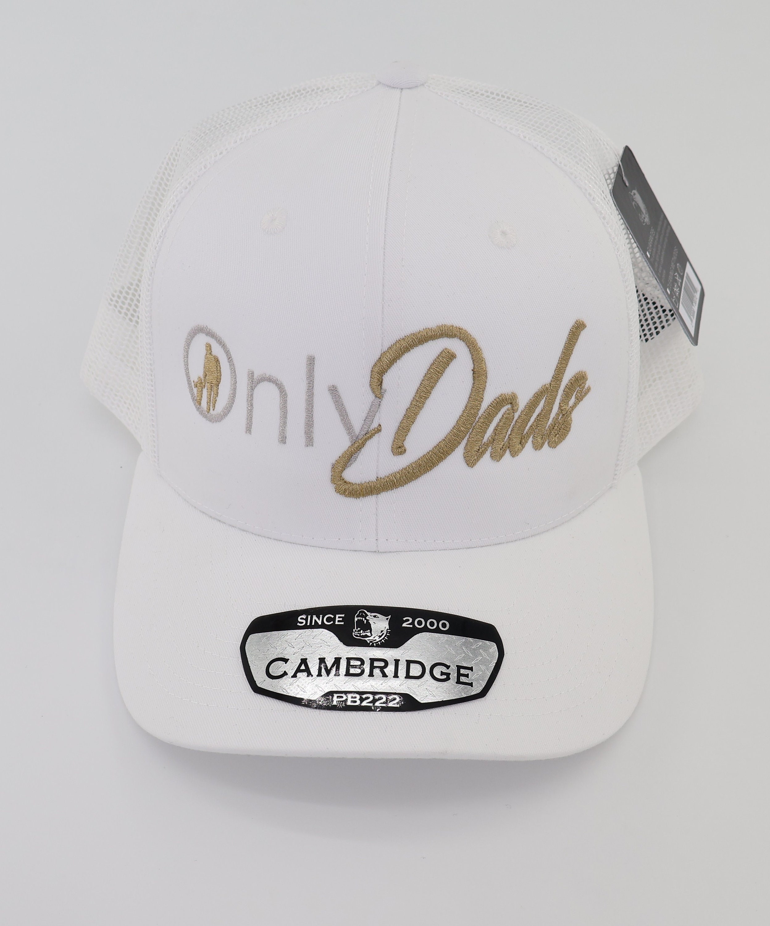 Only Dads Hat - Etsy