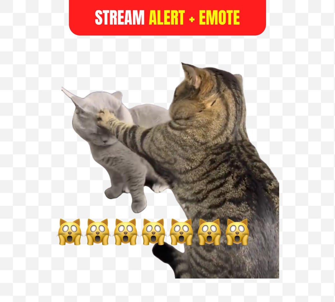 Animated Twitch Alerts Cat Tap Gentle Head Pat Cute Meme for Streamers ...
