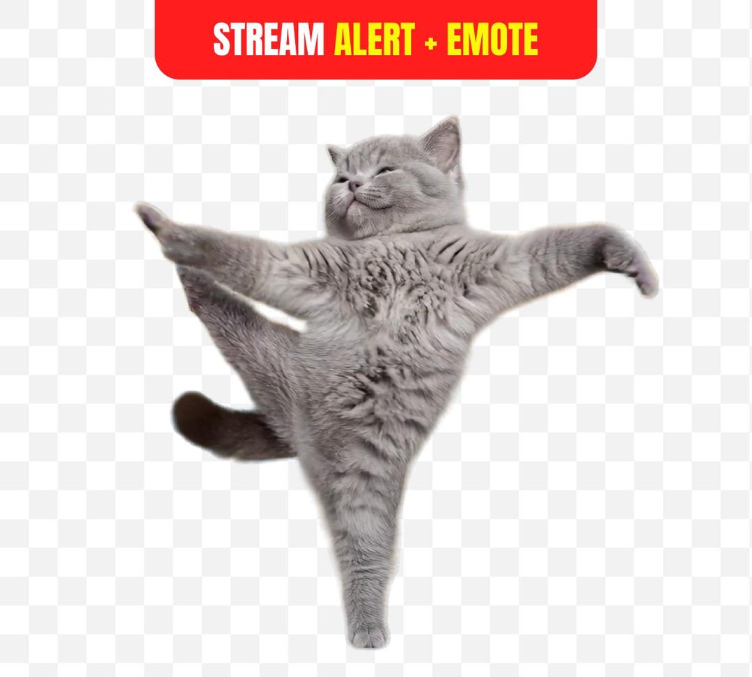 Funny Dancing Cat Twitch Alert Animated & Emote, Cute Spinning Pet Meme ...