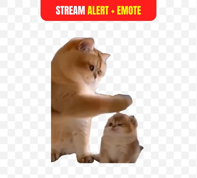 Animated Twitch Alerts Cat Fight Meme Kitten Hitting Back Funny Slap ...