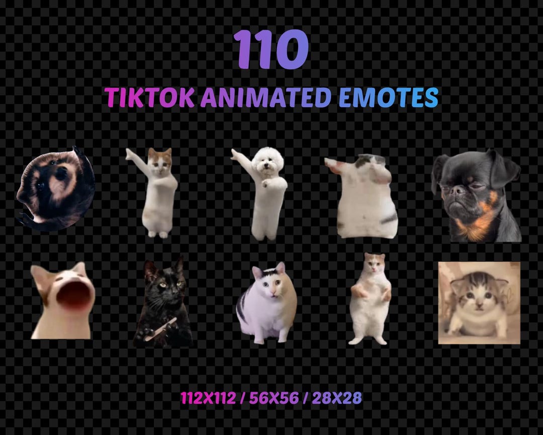 Tiktok Cat and Dog Emote, Dancing Cat Emote, Dance Emote for Twitch ...