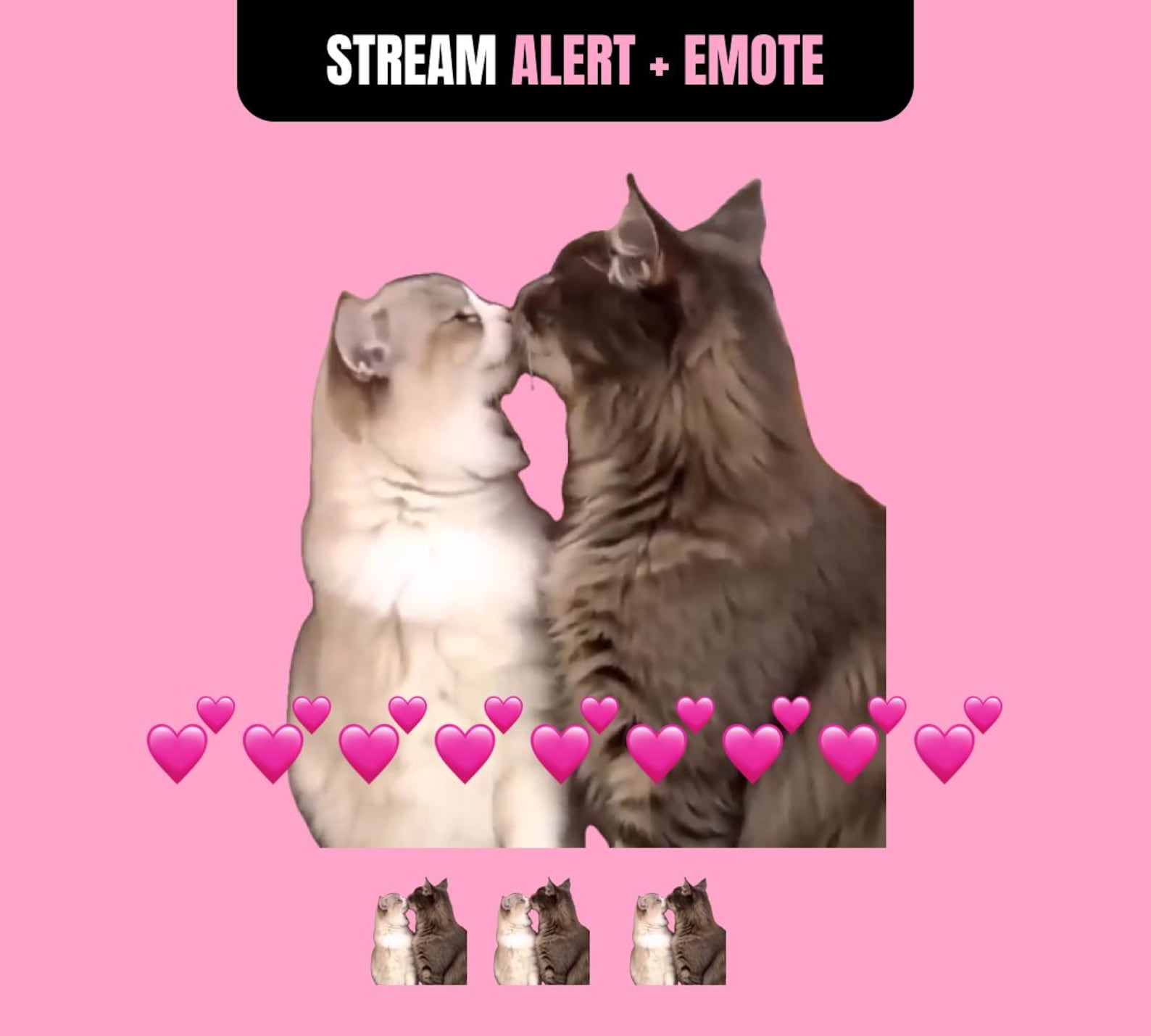 Animated Twitch Alerts Cat Kissing Meme Cute Valentine Day Hearts for ...