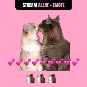 Animated Twitch Alerts Cat Kissing Meme Cute Valentine Day Hearts for ...