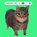 Transparent Stream Alert Video Background Spinning Cat Meme Decoration ...