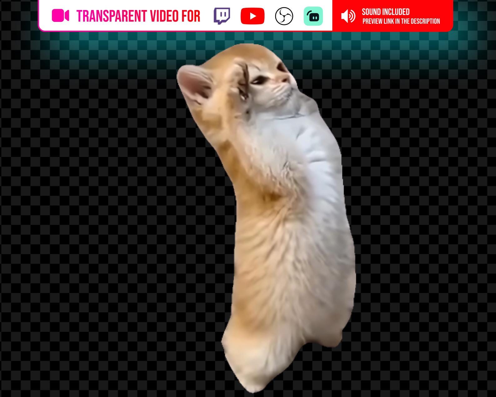 Saluting Cat Twitch Stream Alerts WEBM GIF - Funny Cat Salute Meme ...