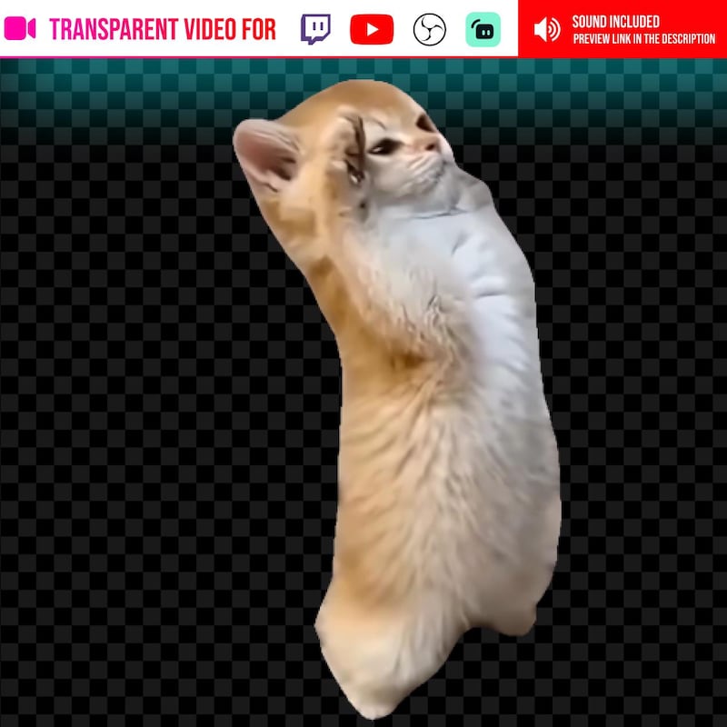 Donation Alert White - Etsy UK