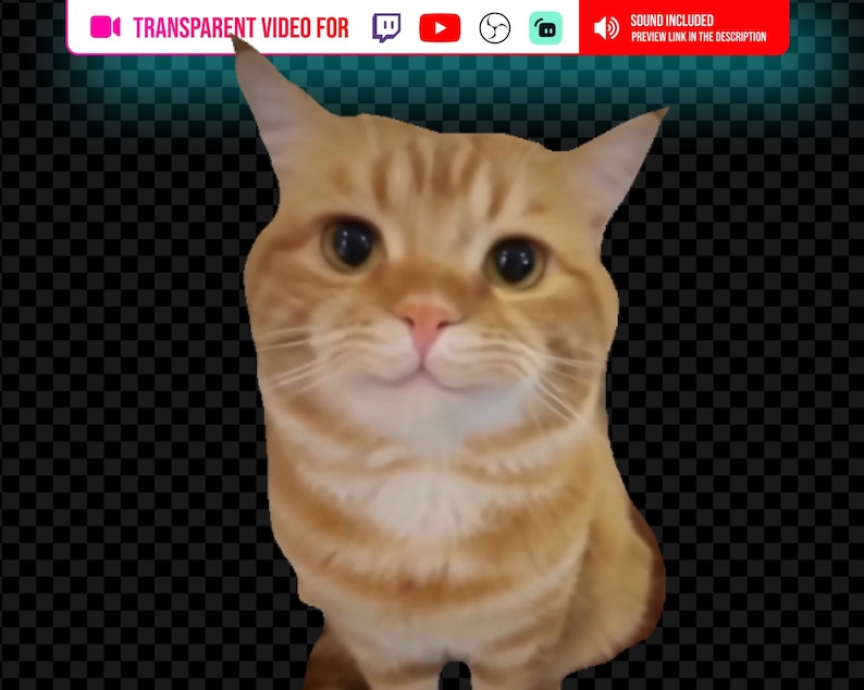 Orange Cute Cat Twitch Stream Alerts WEBM GIF Sound - Animated Cat Meme ...