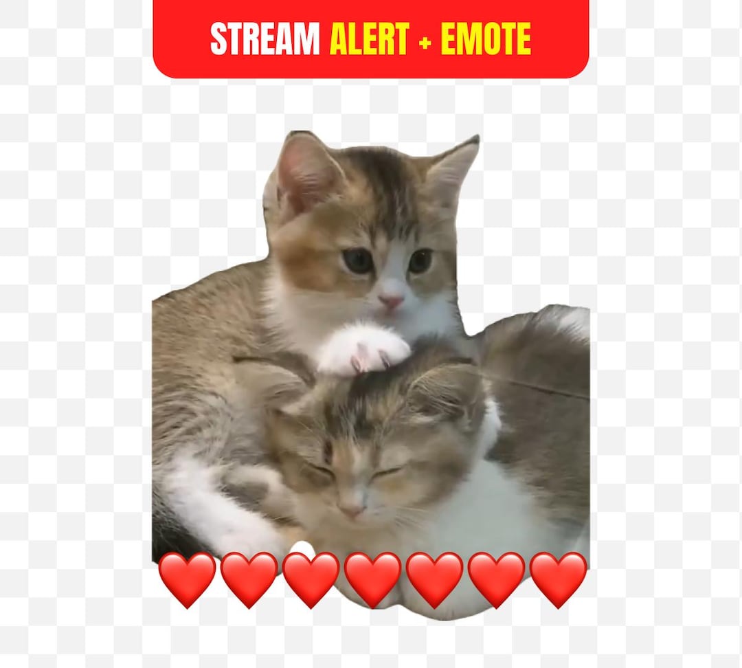 Animated Twitch Alerts Cat Petting Meme Cute Hearts Kittens for ...