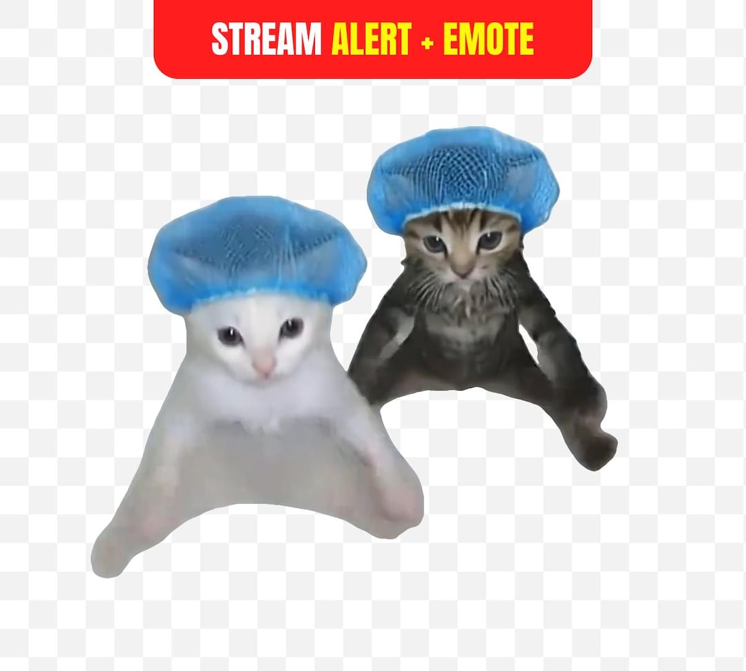 Dancing Cats Stream Alert Emote | Funny Shower Cap Cat Meme Twitch ...